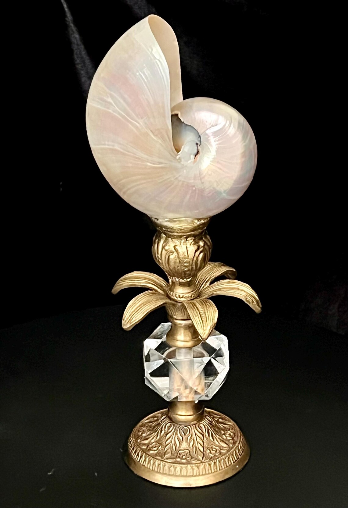 Pearlized Nautilus Shell on Rococo Brass Crystal Pedestal - Etsy