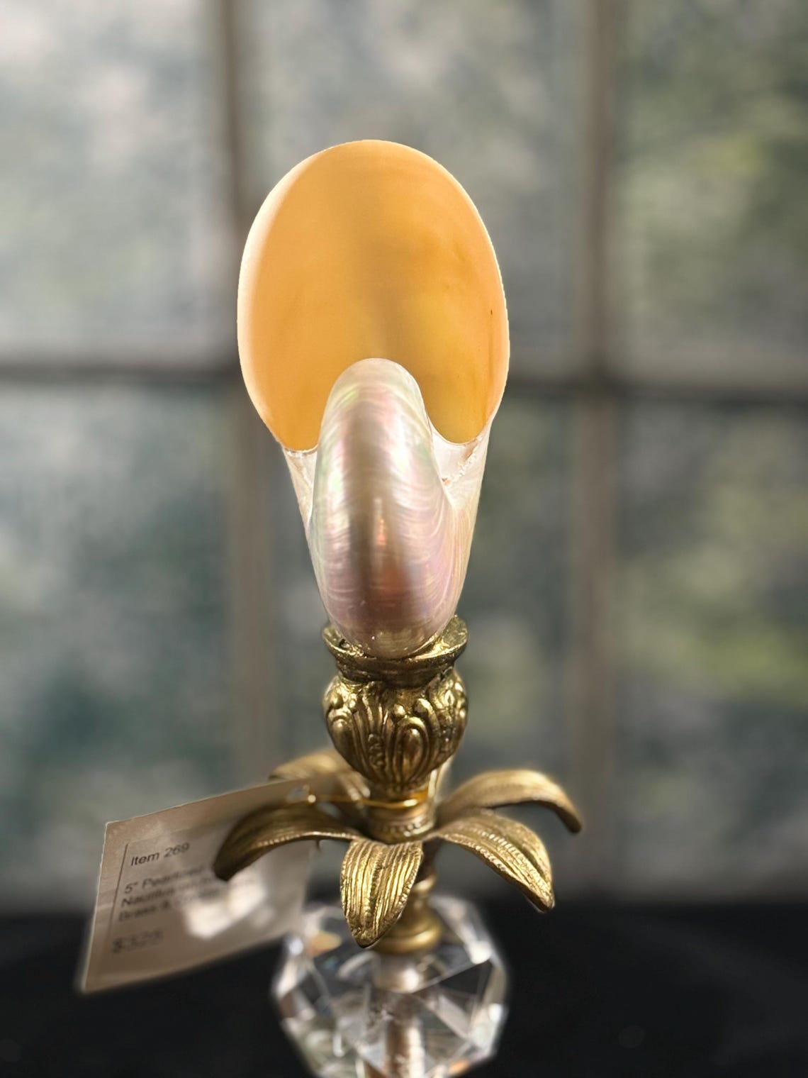 Pearlized Nautilus Shell on Rococo Brass Crystal Pedestal - Etsy