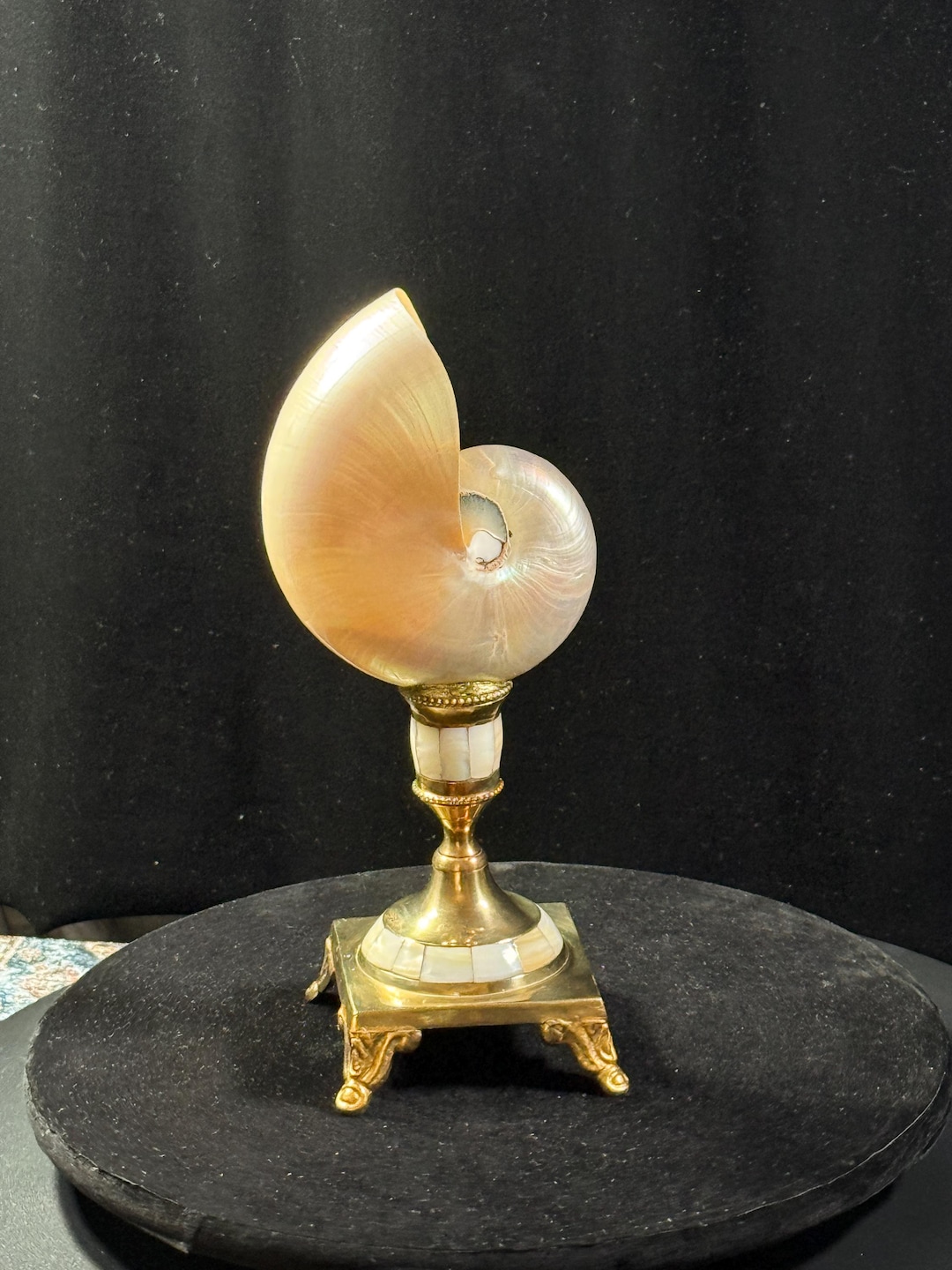 Pearlized Nautilus Shell Display: Vintage Mother of Pearl & Brass Base ...