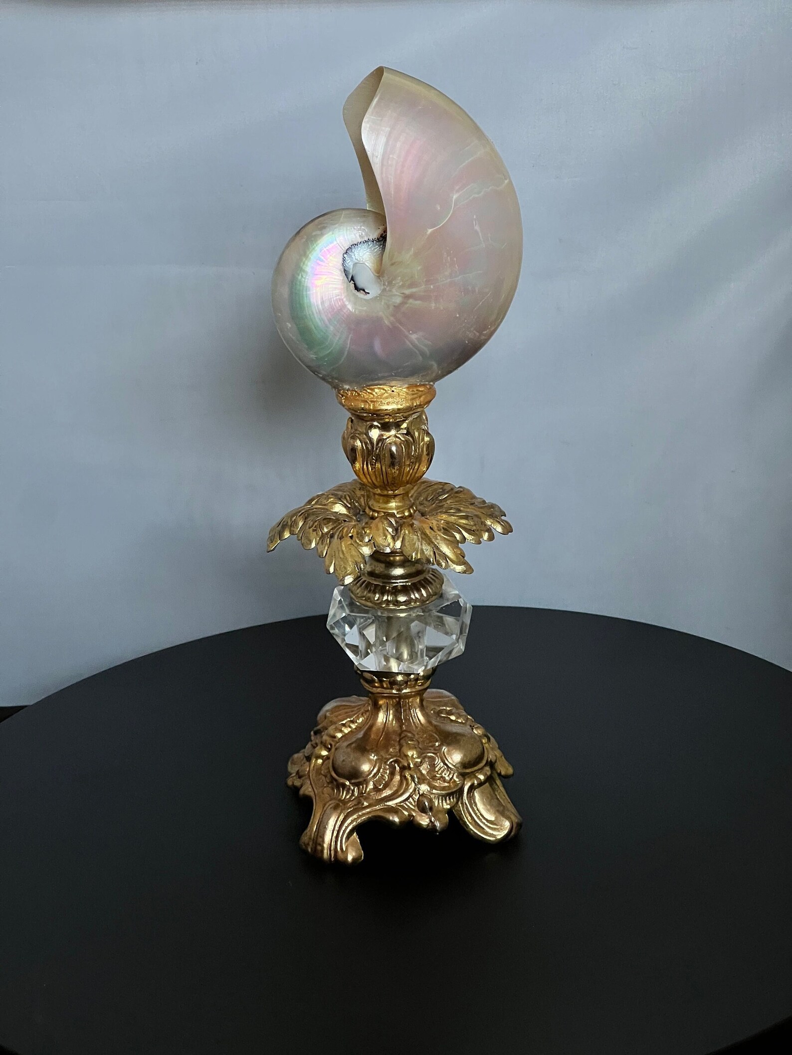 Pearlized Nautilus Sea Shell Mounted on a Beautiful Crystal and Gold ...