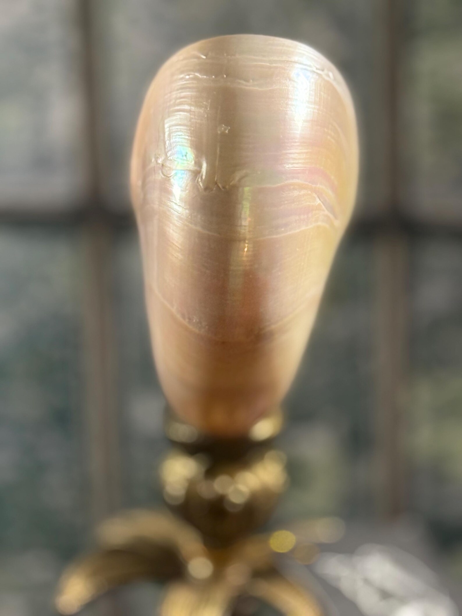 Pearlized Nautilus Shell on Rococo Brass Crystal Pedestal - Etsy