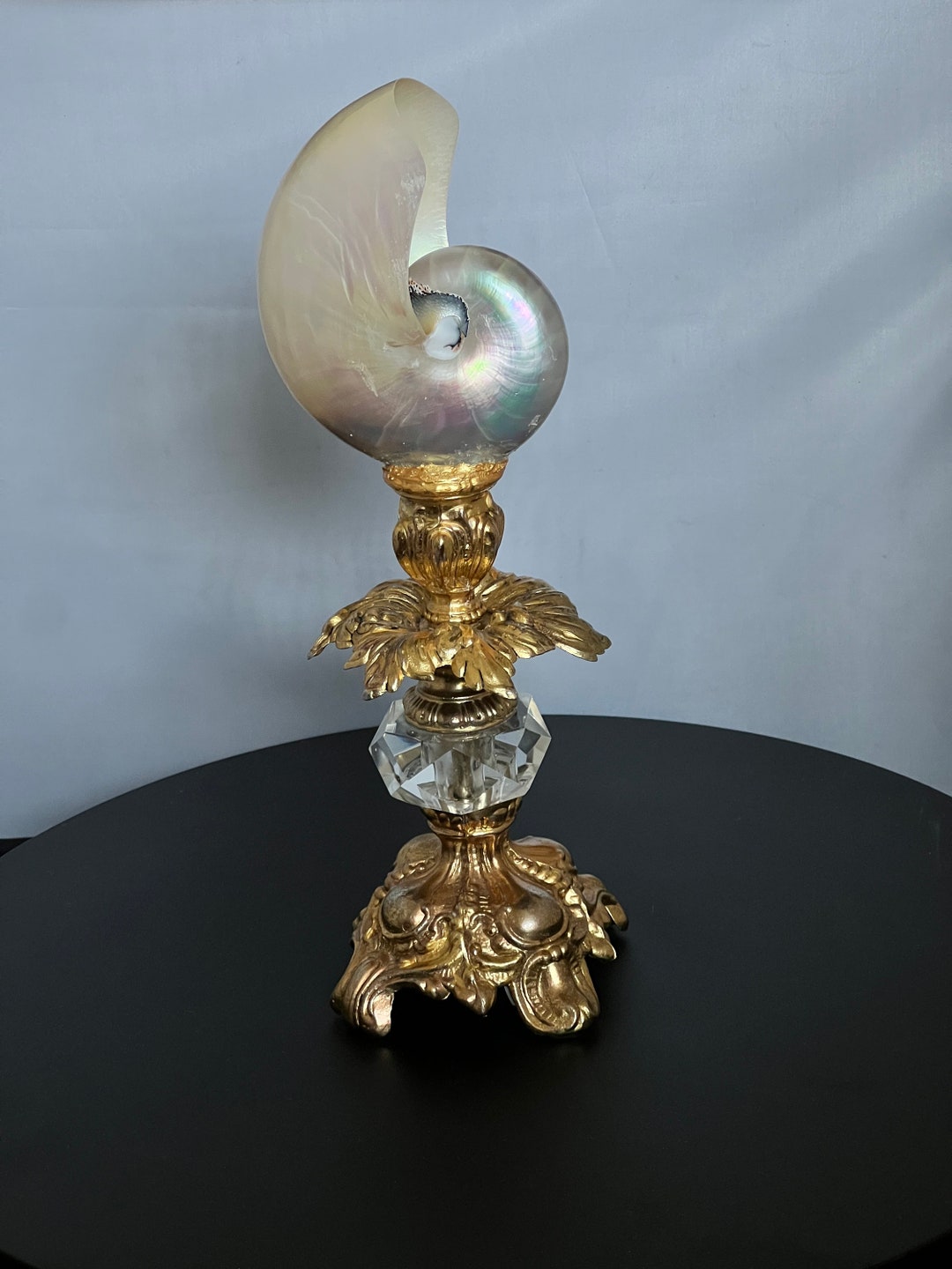 Pearlized Nautilus Sea Shell Mounted on a Beautiful Crystal and Gold ...