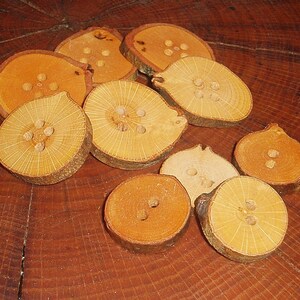10 Handmade Tree Branch Buttons 6/med/large 4/small - Etsy