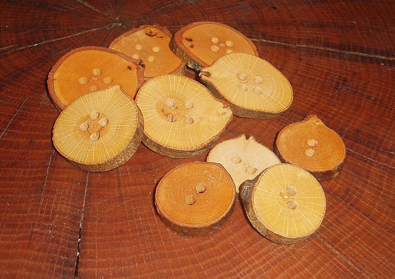 10 Handmade Tree Branch Buttons 6/med/large 4/small - Etsy