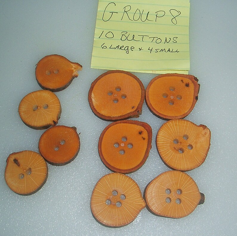10 Handmade Tree Branch Buttons 6/med/large 4/small - Etsy