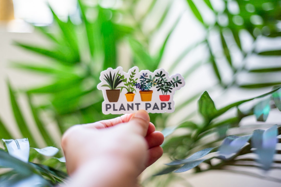 Plant Papi Sticker funny Stickers, Laptop Stickers, Water Bottle ...