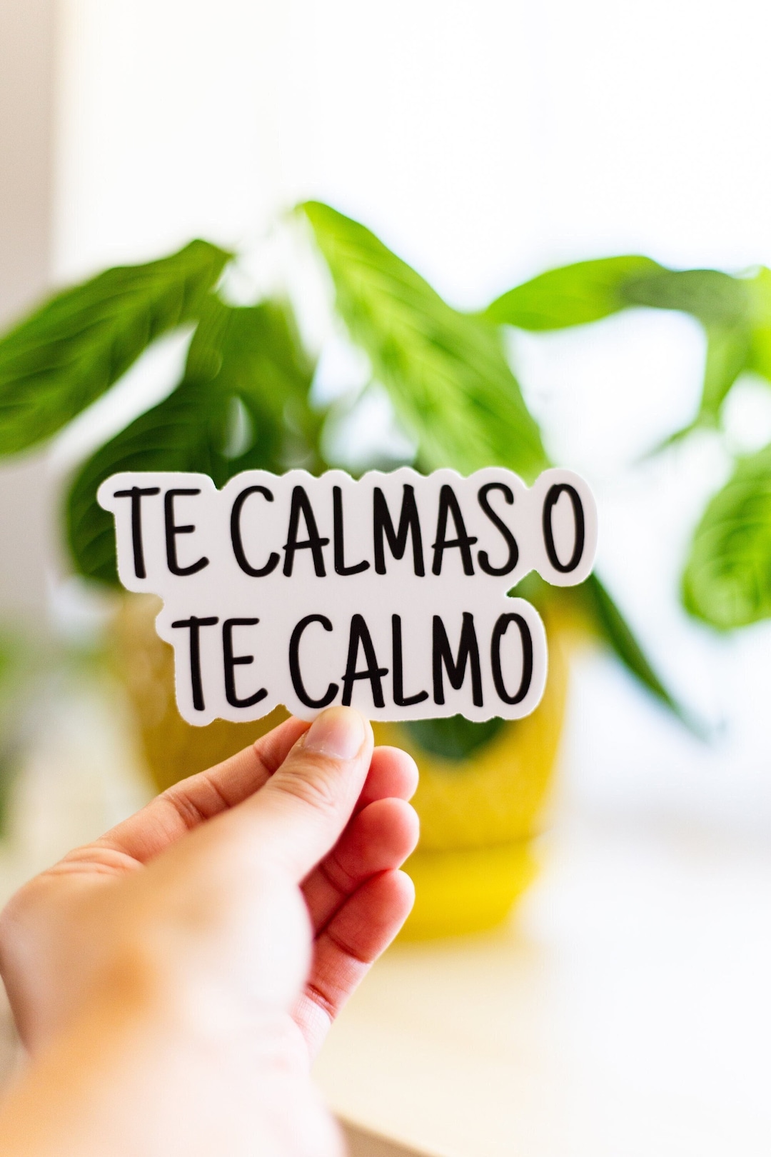 BIGGER | Te Calmas O Te Calmo Sticker (funny Stickers, Laptop Stickers ...