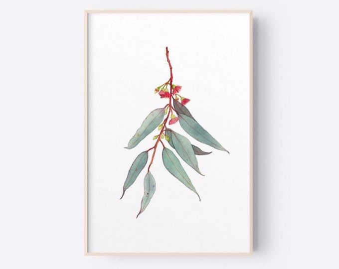 Australian Native Plant & Animal Watercolours & by WinterOwls