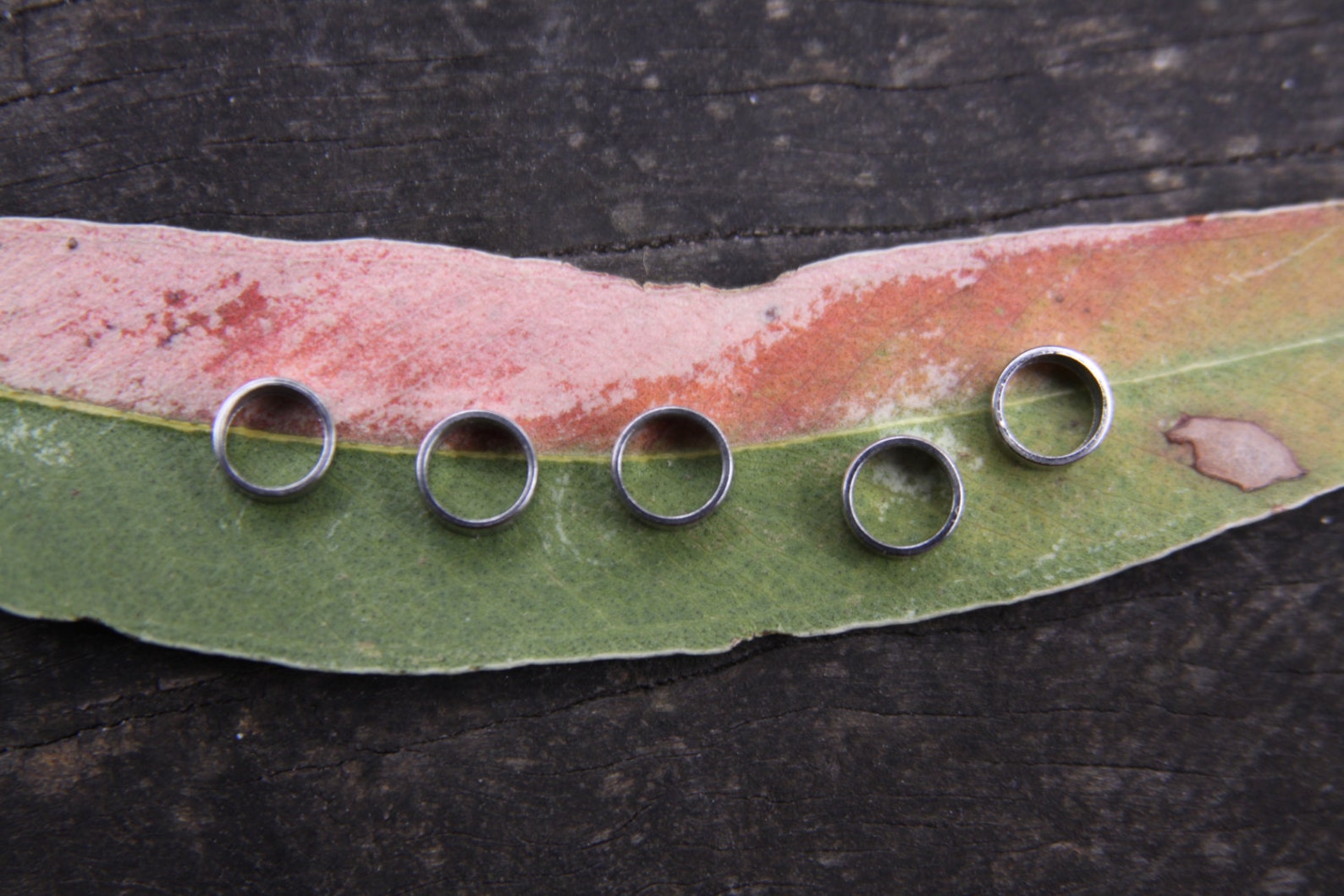 10 Stainless Steel Dread Rings 5mm Hole 3/16 Inch Dreadlock | Etsy