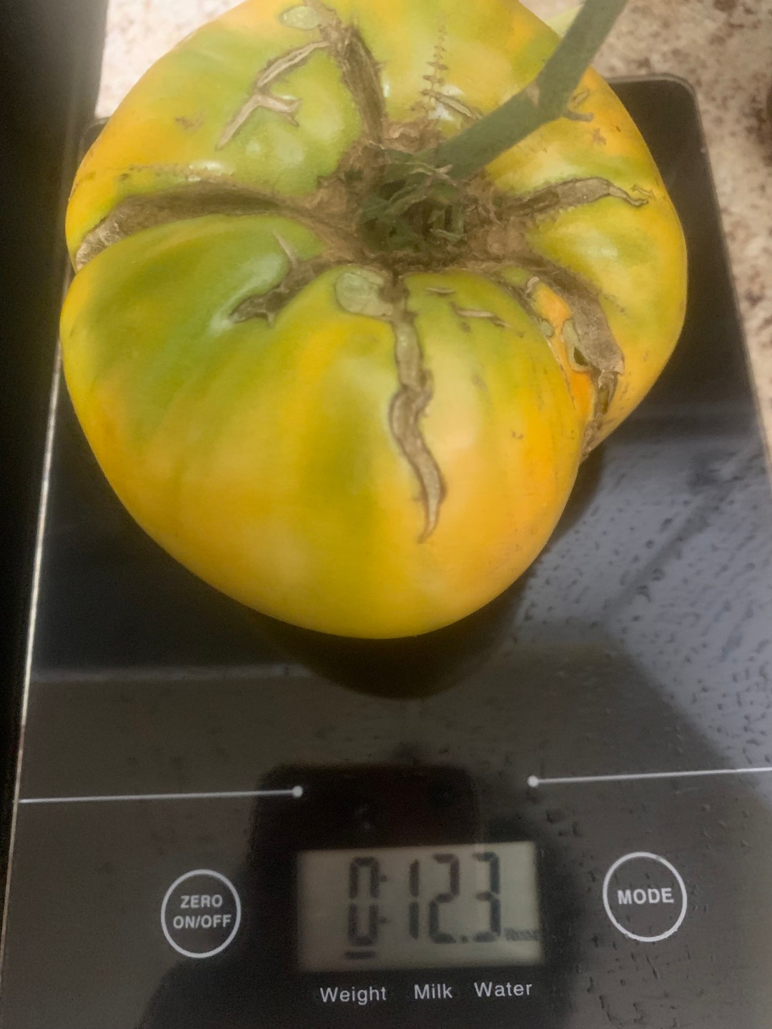 Maylor Roth Yellow Beefsteak-heirloom Seeds - Etsy