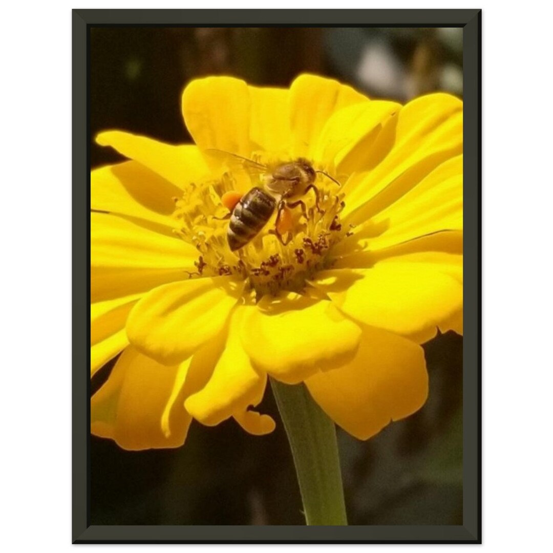 Grammy Bee Garden Bee Original Print-museum-quality Matte - Etsy