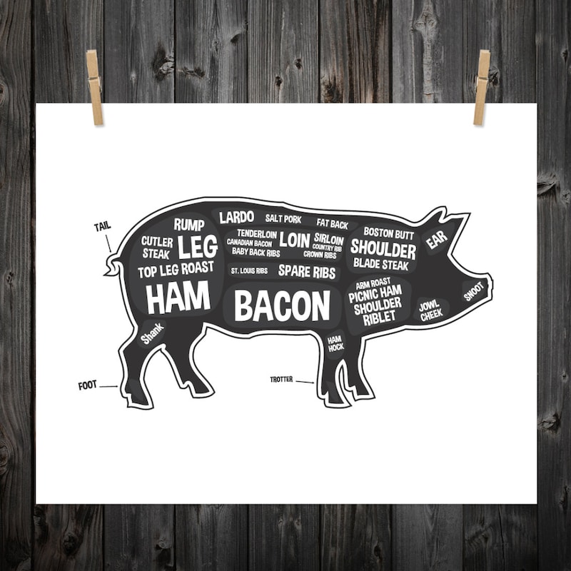 Pig Diagram - Etsy