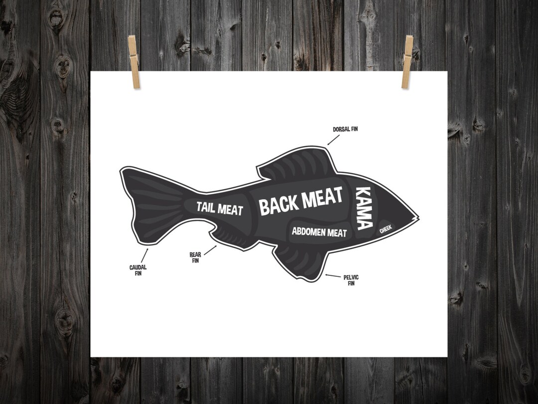 Fish Butcher Diagram, Butcher Chart, Fish, Fish Diagram, Home Decor ...