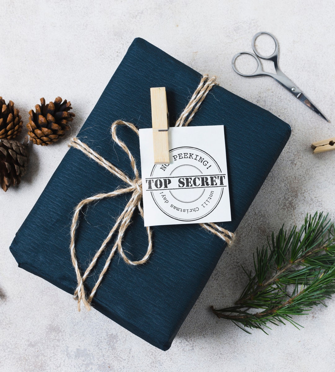 Christmas Gift Tags Printable, Funny Top Secret No Peeking Until ...