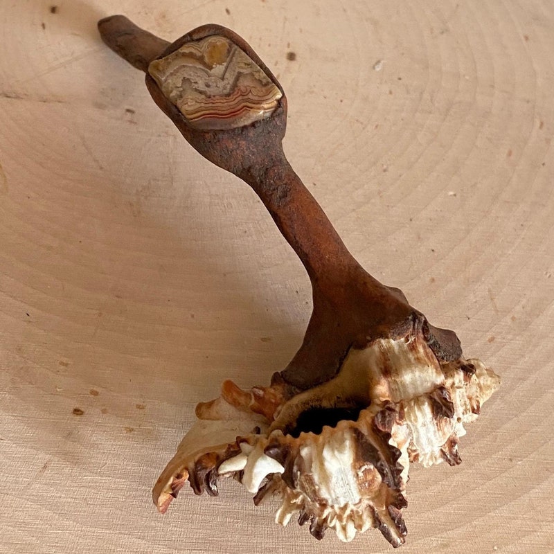 Seashell Pipe - Etsy