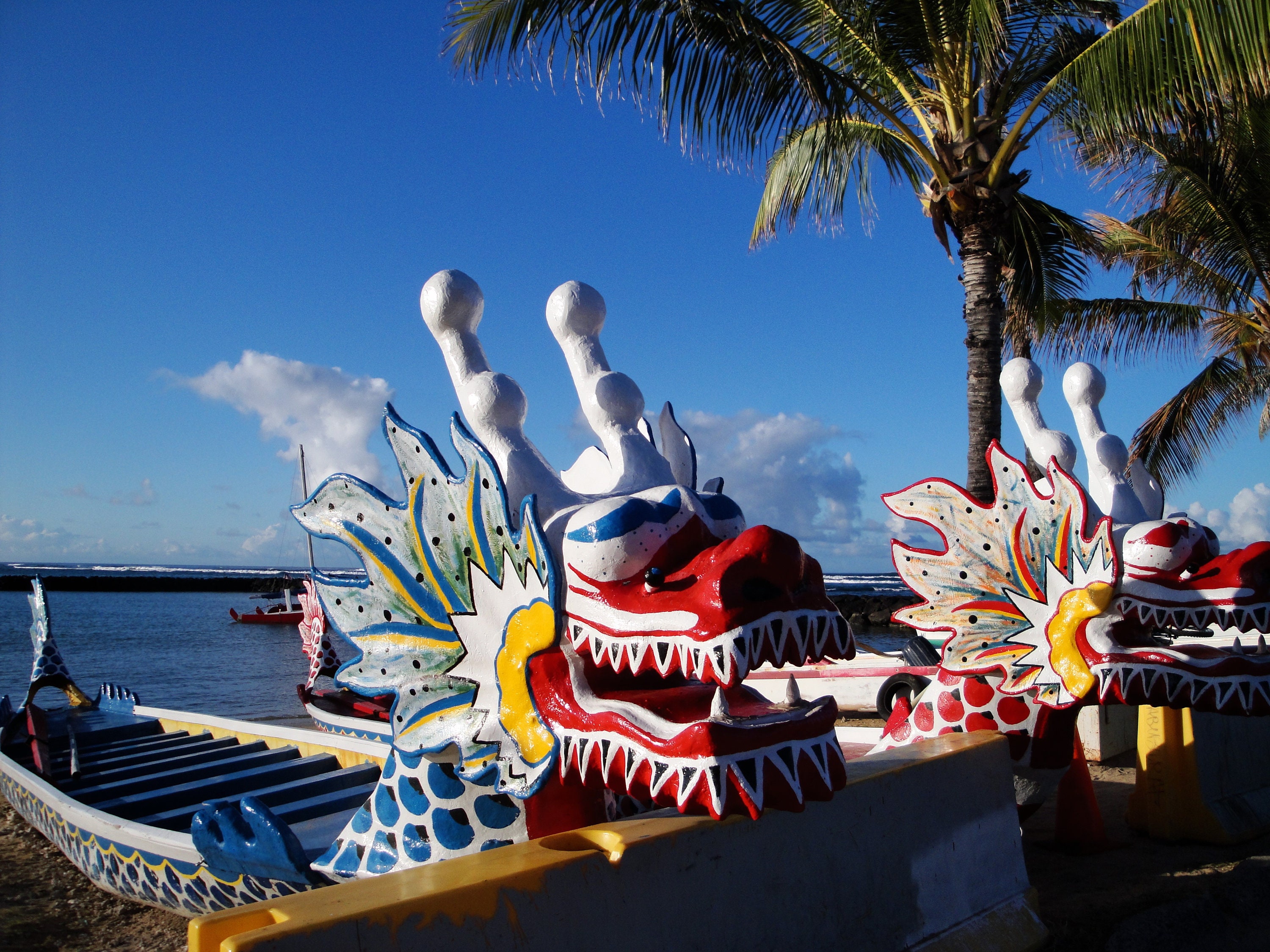 Waikiki Beach Hawaii Dragons on the Beach 8 X 10 Print | Etsy
