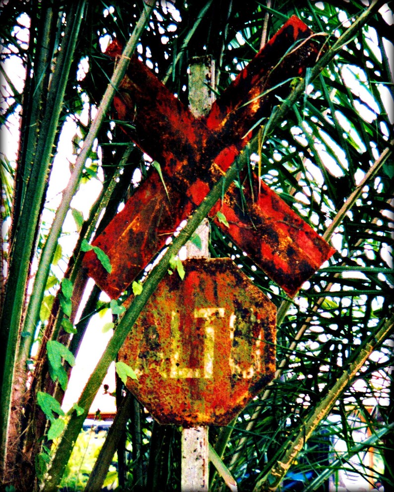 Costa Rica Old Rusty Stop Sign 8 X 10 Print Affordable - Etsy