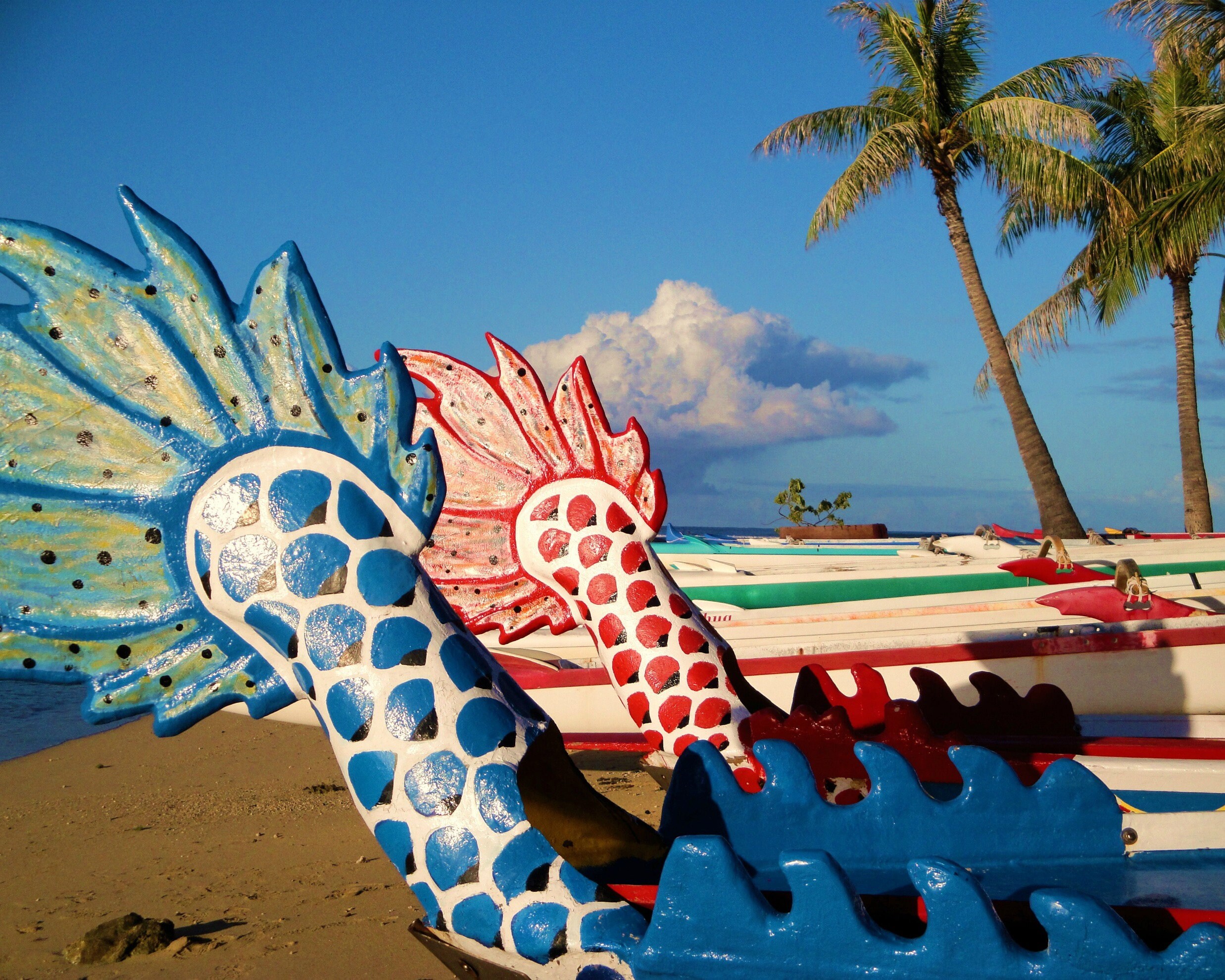 Waikiki Beach Hawaii Dragons on the Beach 8 X 10 Print | Etsy