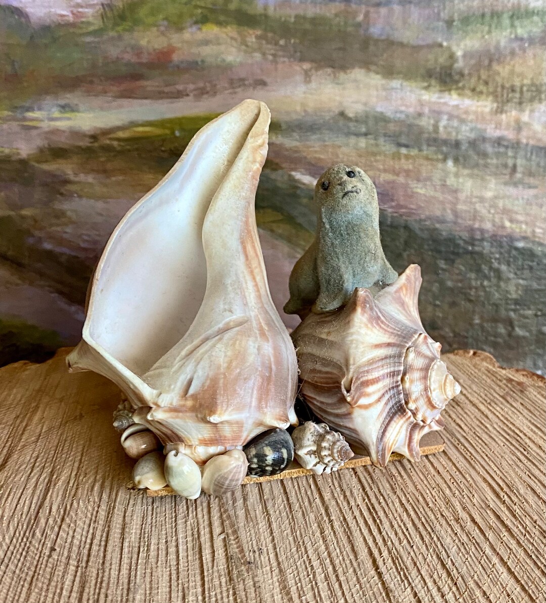 Vintage Seashells and Seal Figurine on Wood Base-florida Souvenir-beach ...