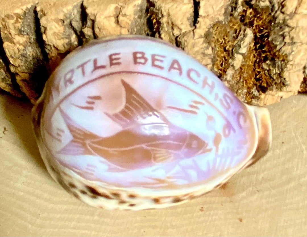 Hand Carved Cowrie Shell-myrtle Beach Souvenir-fish-tiger Shell ...