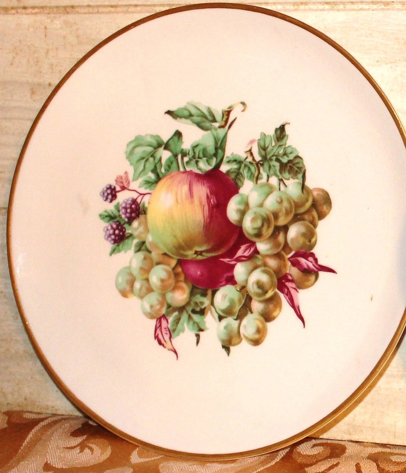 Vintage Embassy USA Vitrified China Plate Set Vintage - Etsy