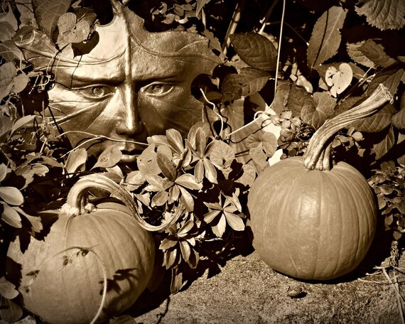 Angry Leaf 8 X 10 or 11 X 14 Print Art Photography - Etsy