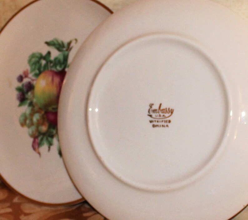 Vintage Embassy USA Vitrified China Plate Set Vintage - Etsy