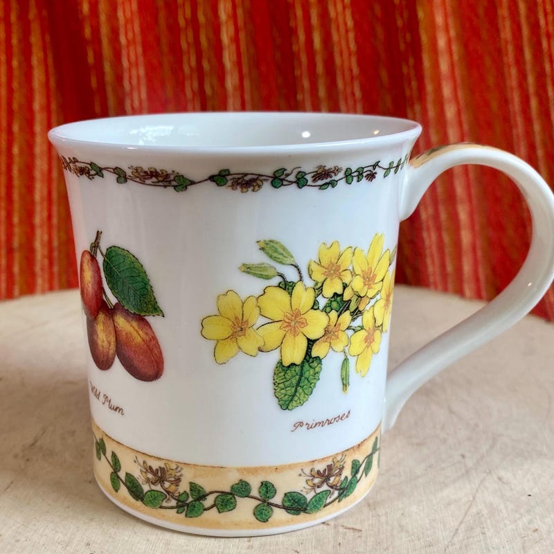 Fruit China Mug - Etsy