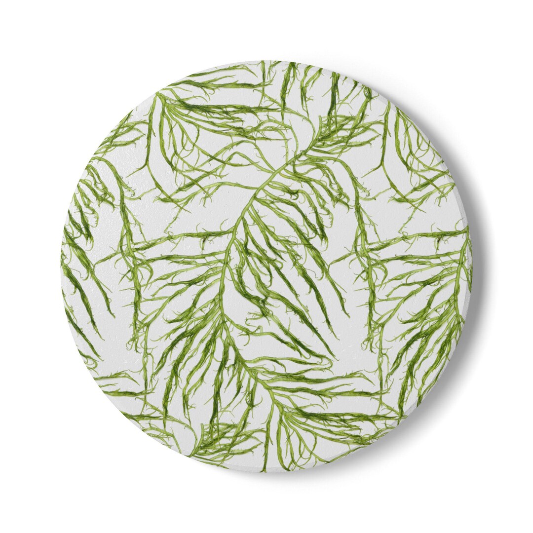 Seaweed Ceramic Coaster Set - Etsy