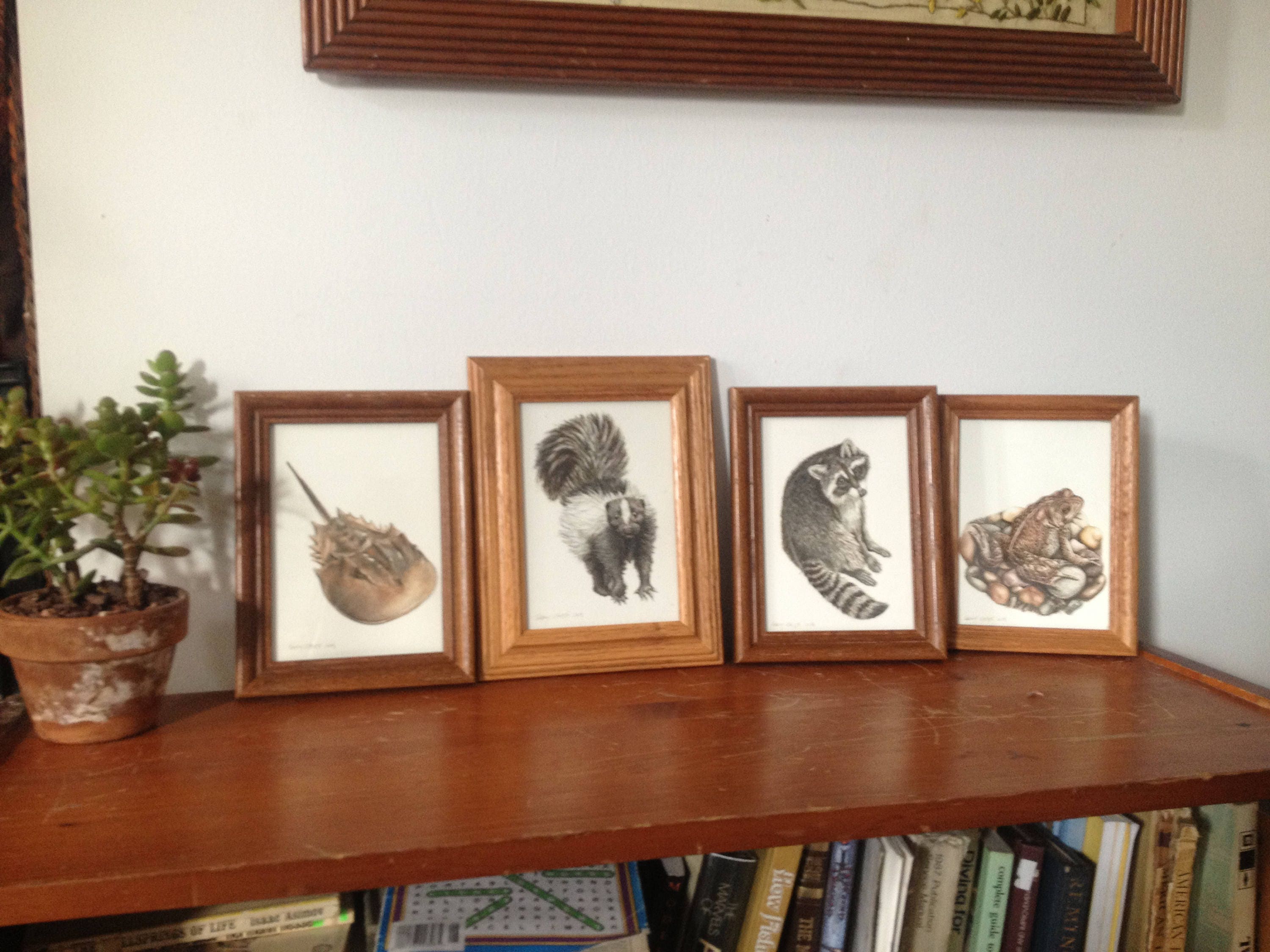 Toad - Print of Original Art 5" X 7" Watercolor and Ink Giclee Archival ...