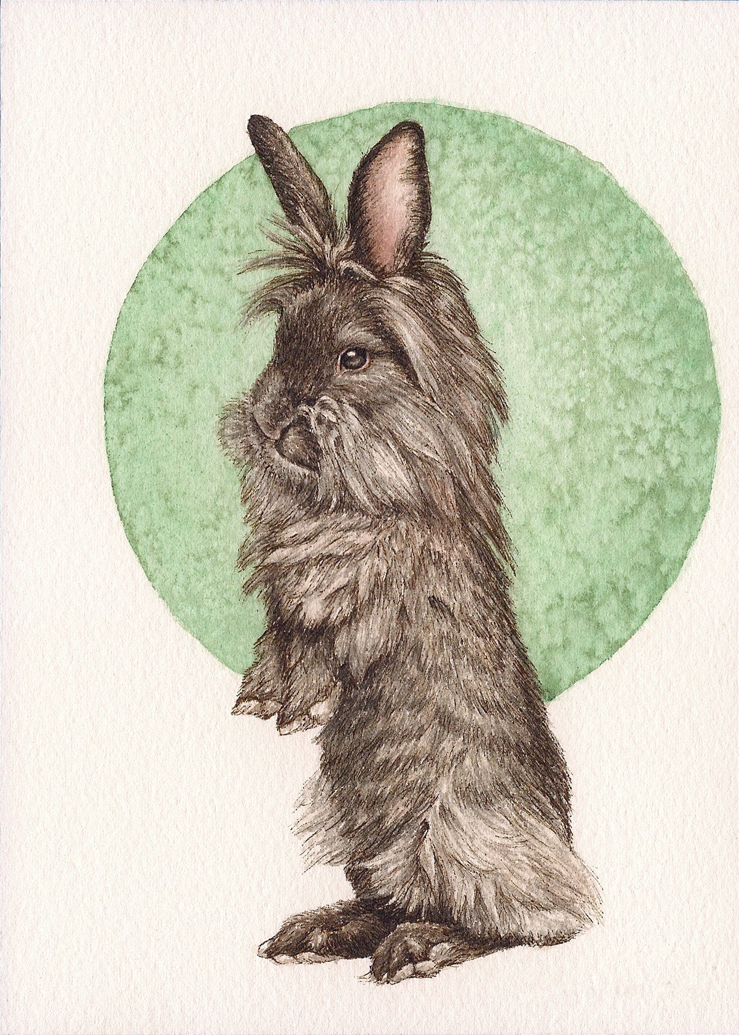 Lionshead Rabbit - Print of Original Art 5" X 7" Watercolor and Ink ...