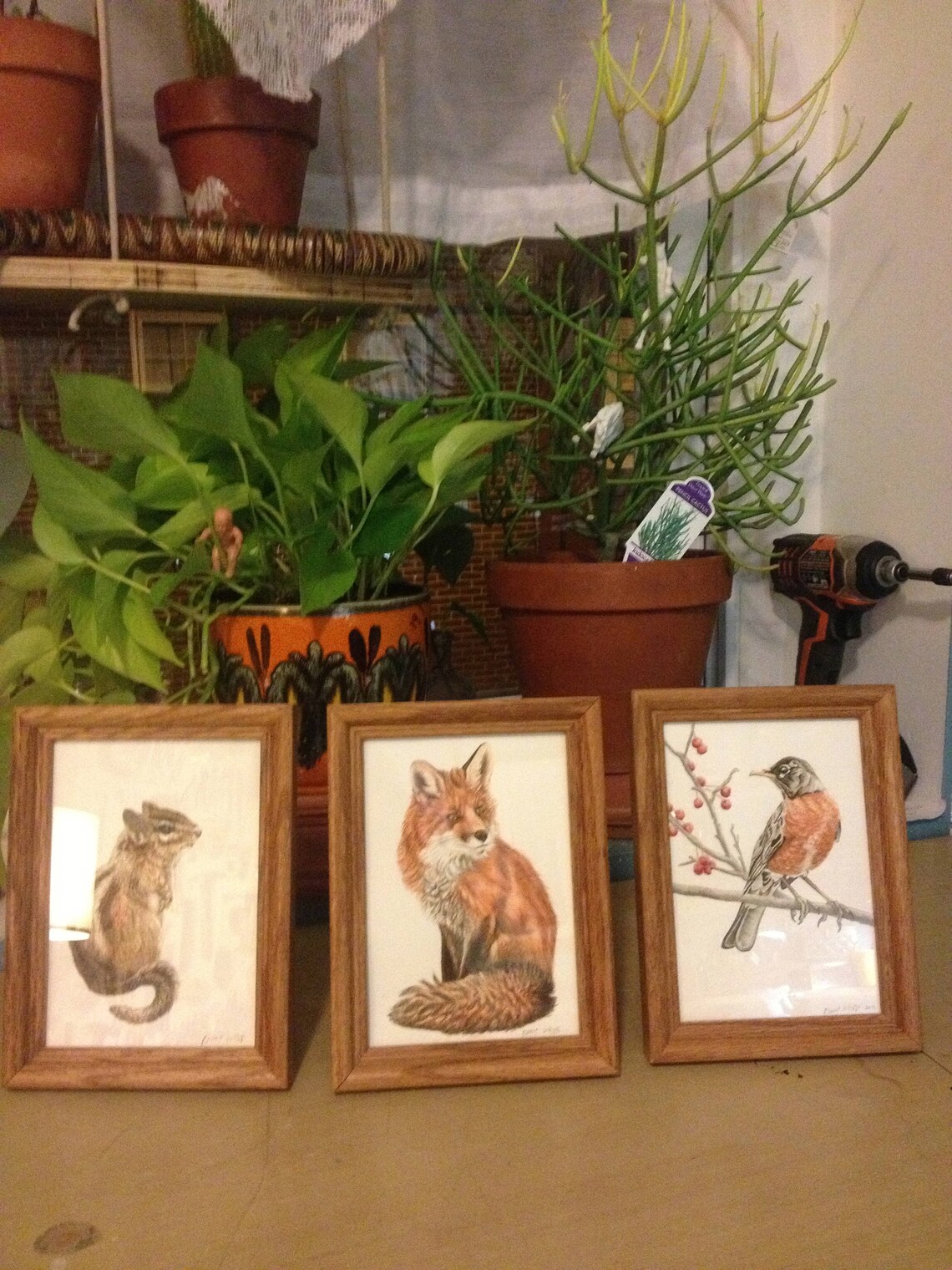 Chipmunk - Print of Original Art 5" X 7" Watercolor and Ink Giclee ...