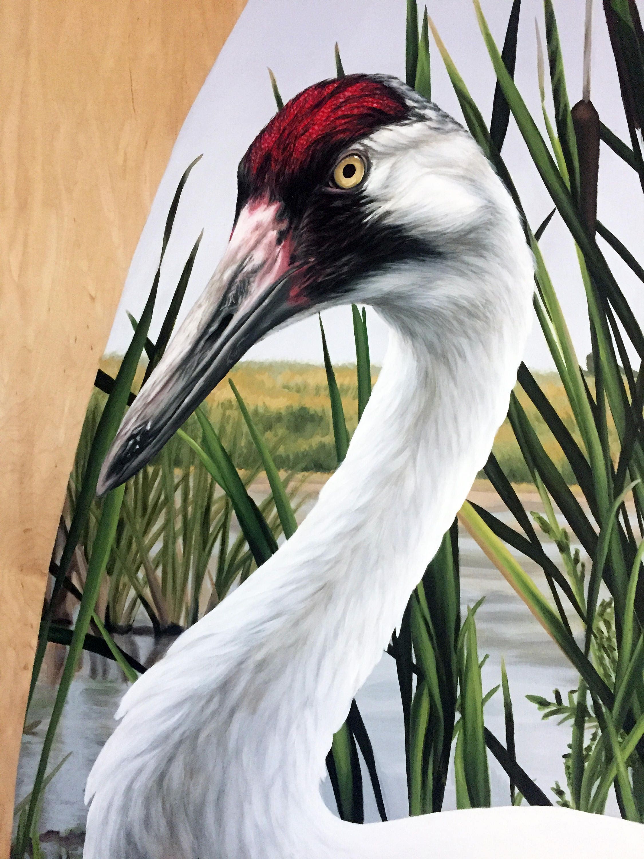 Reintroduction I (whooping Crane) - Original Framed Acrylic Painting of ...