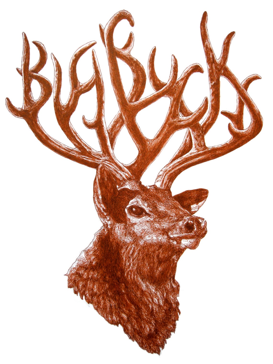 Big Bucks - Original Deer Illustration Pen and Ink Sienna Drawing - Etsy