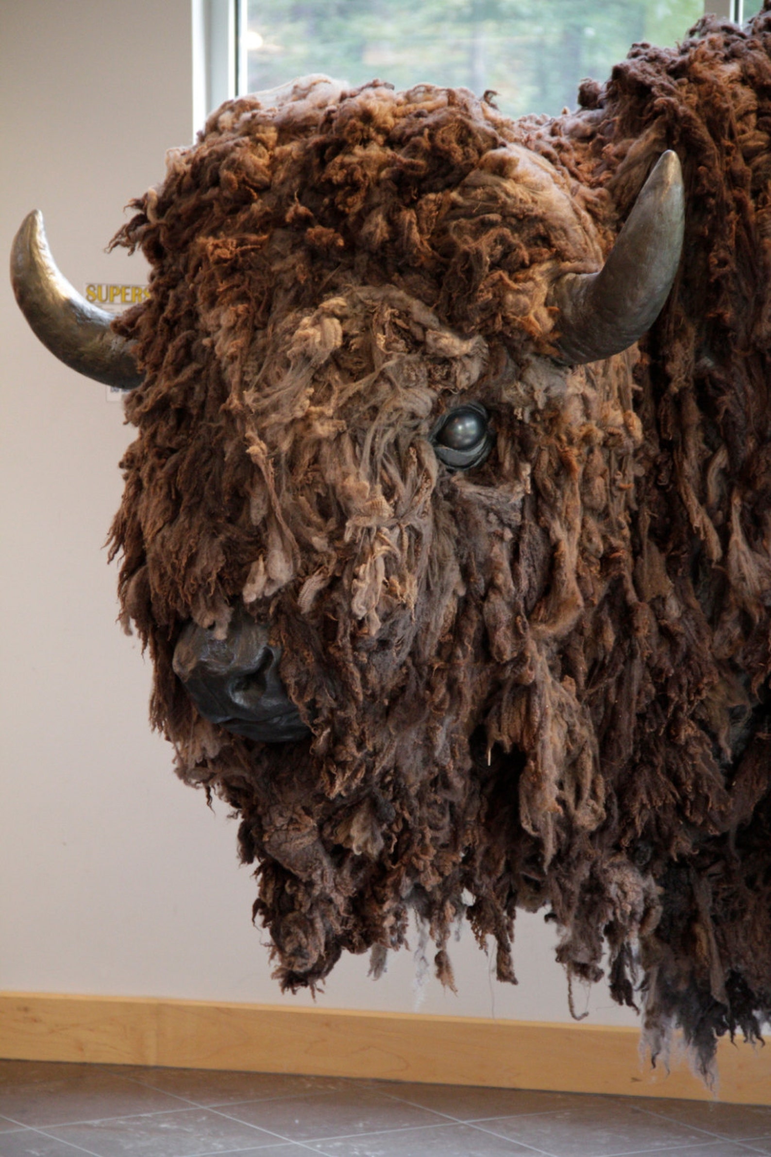 American Bison Sculpture Life Sized Original Fine Art - Etsy