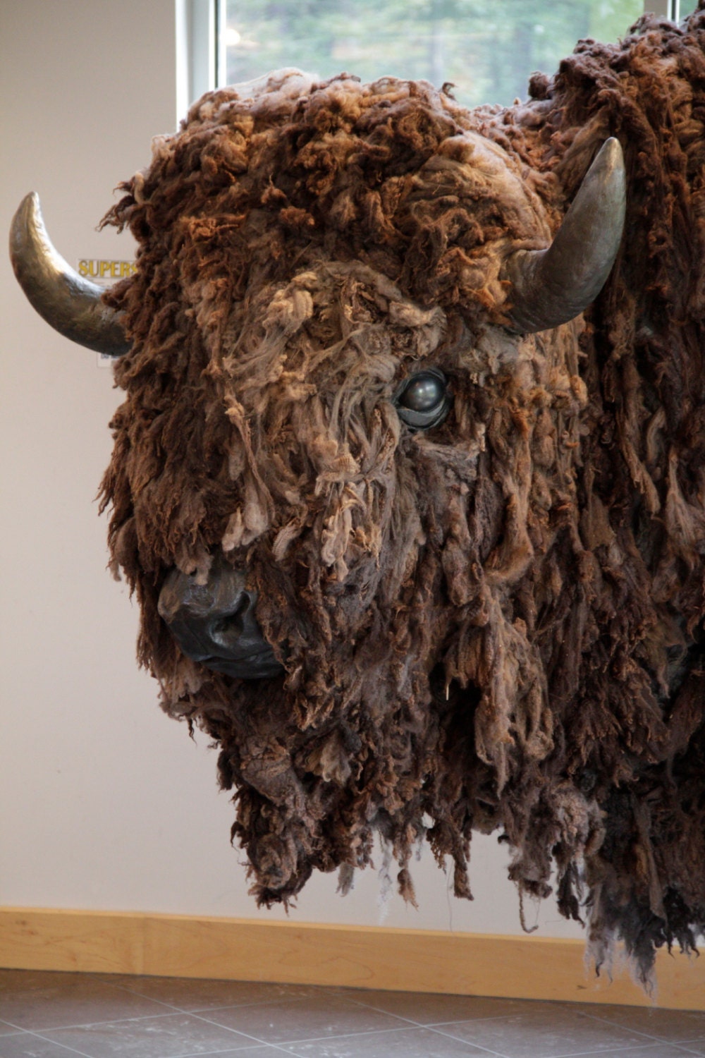 American Bison Sculpture Life Sized Original Fine Art - Etsy