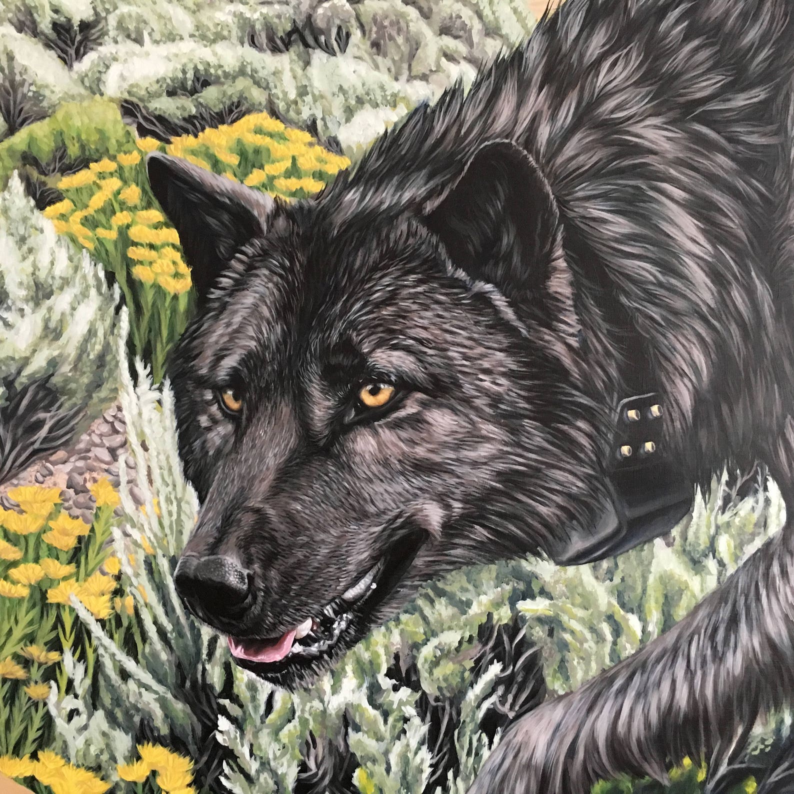Reintroduction II (gray Wolf) - Original Framed Acrylic Painting of a ...