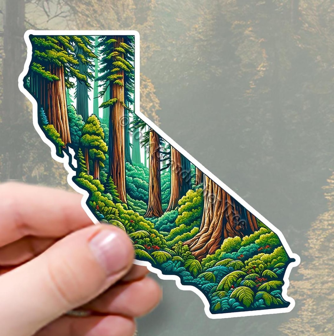 California Redwoods State Shape Sticker With the Redwood Forest on the ...
