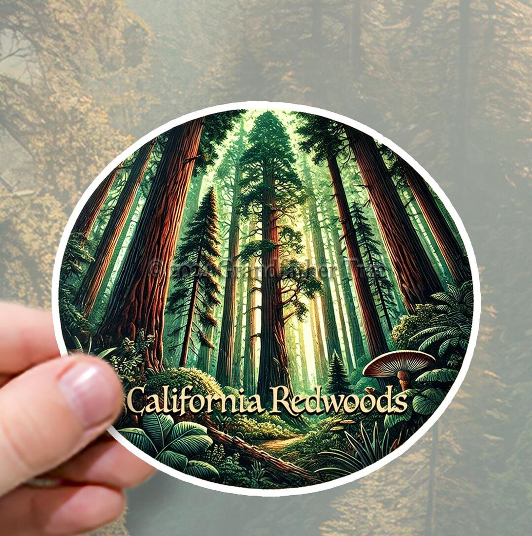 Redwood Haven Circular Sticker - California Redwoods Design - Vibrant ...
