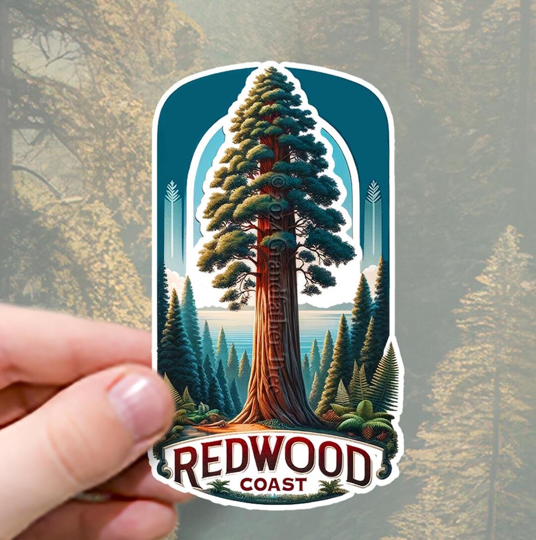 Redwood Coast Sticker - Giant Redwood Tree and Ocean View - Vibrant ...