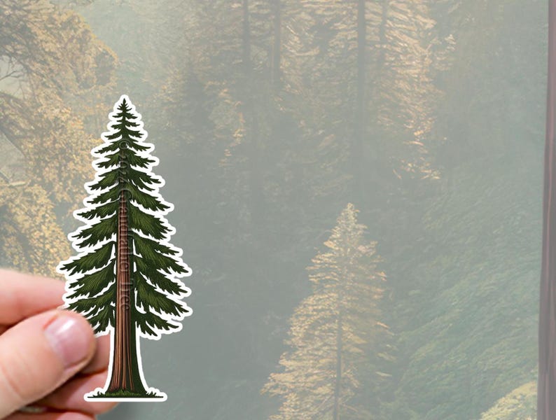 Lone Giant Redwood Sticker - Majestic Tree Design - Vibrant ...