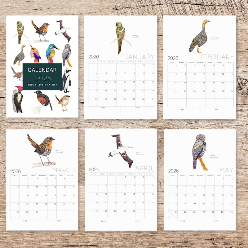 Spanish Birthday Calendar - Etsy