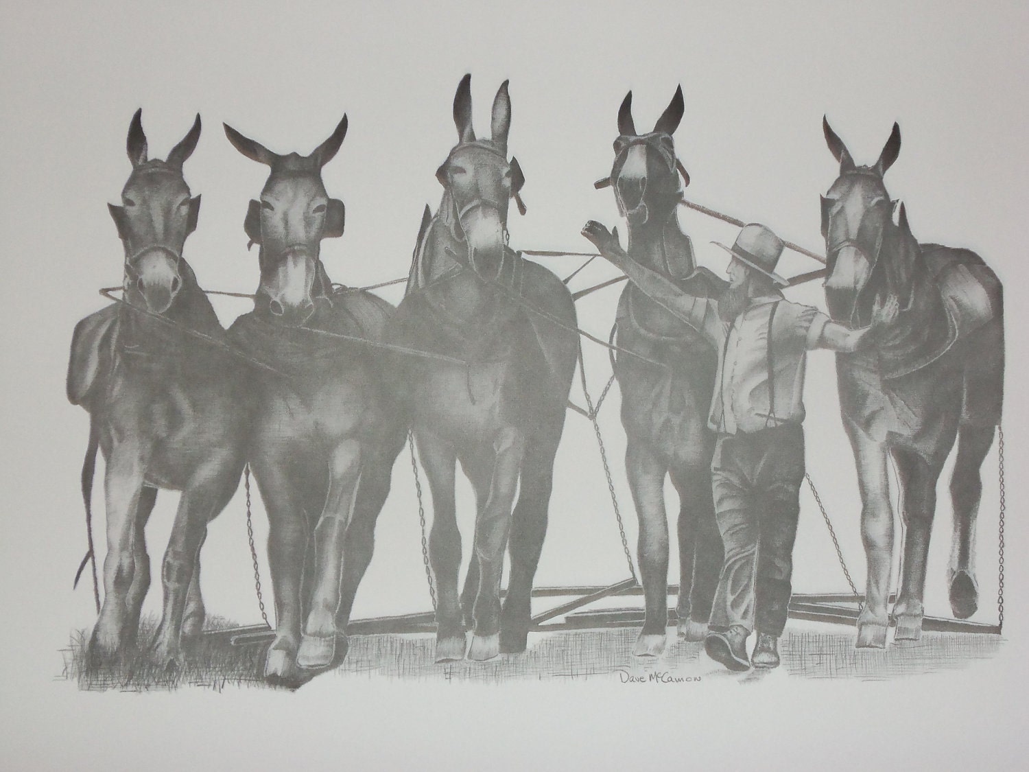 Mules 16 X 20 Print - Etsy
