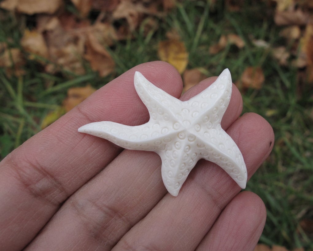Beautiful Star Fish, Buffalo Bone Carving, Jewelry Making Supplies ...