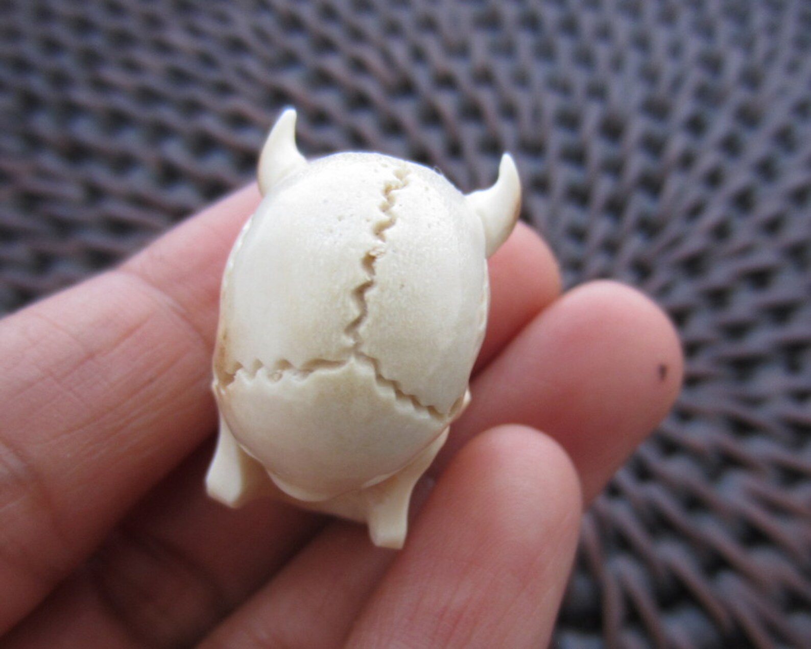 Intricate Carved Devil Skull From Deer Antler 3-D Skull not - Etsy