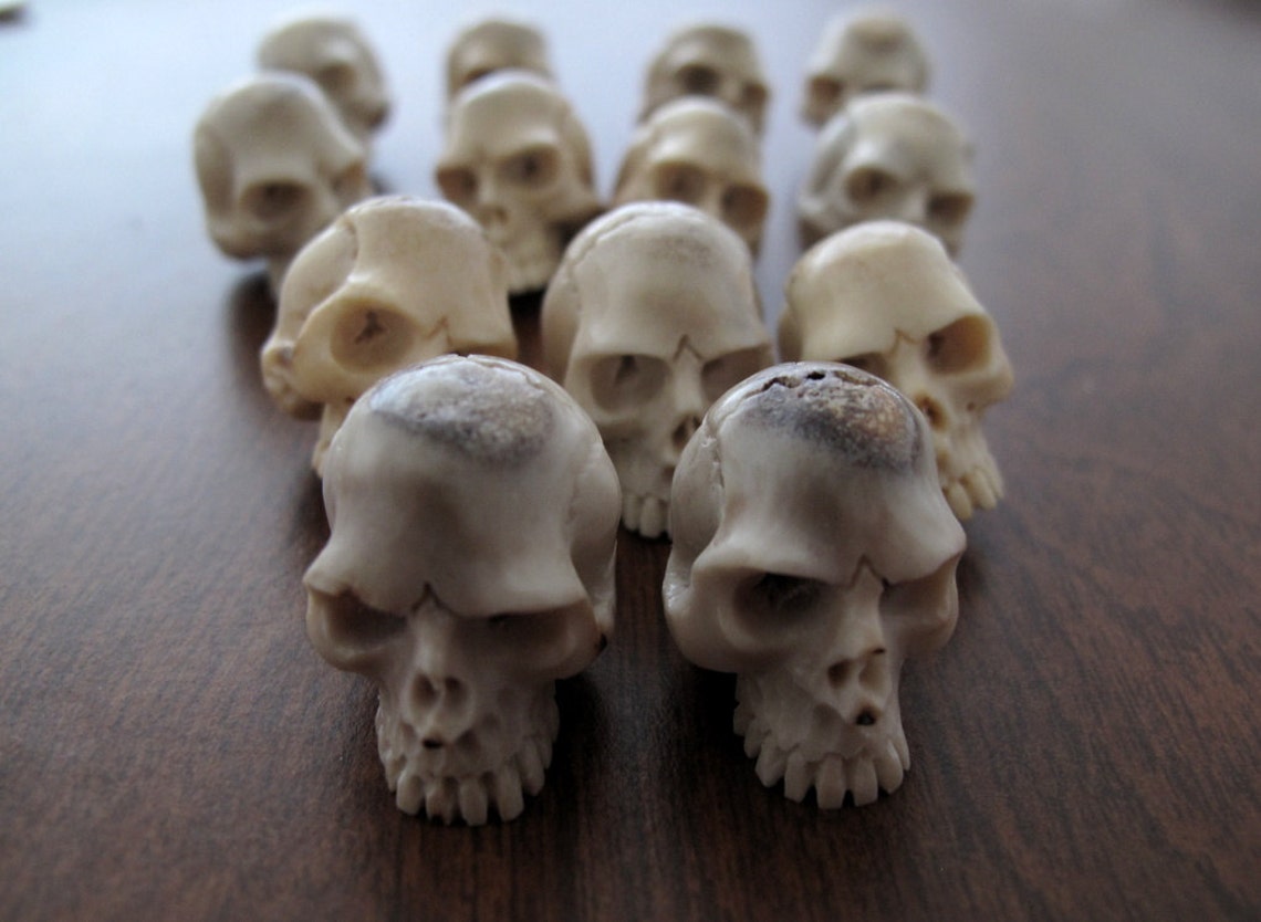 Detailed Skull Carving Jawless Skull Naturally Shed Deer - Etsy