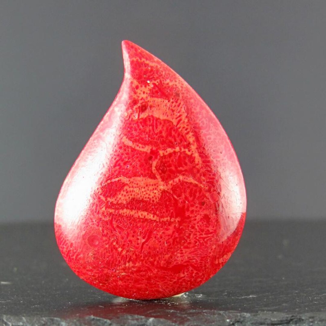 Unique Shape Red Coral Cabochon, Jewelry Making Supplies B9005 - Etsy