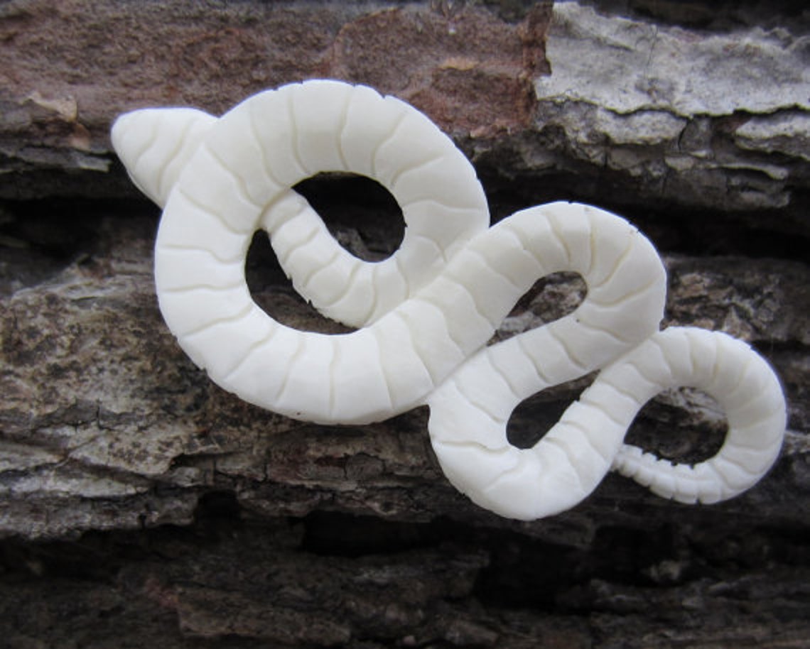 Hand Carved Rattle Snake Bone Carving Jewelry Making - Etsy