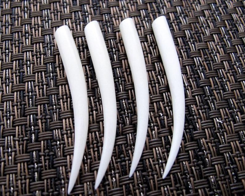 Matched Pair of Hand Carved Buffalo Bone Tusks , Buffalo Bone Carving ...