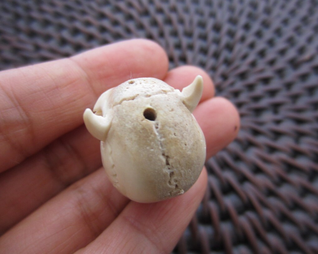 Devil Skull Hand Carved From Deer Antler 3-D Skull DRILLED - Etsy